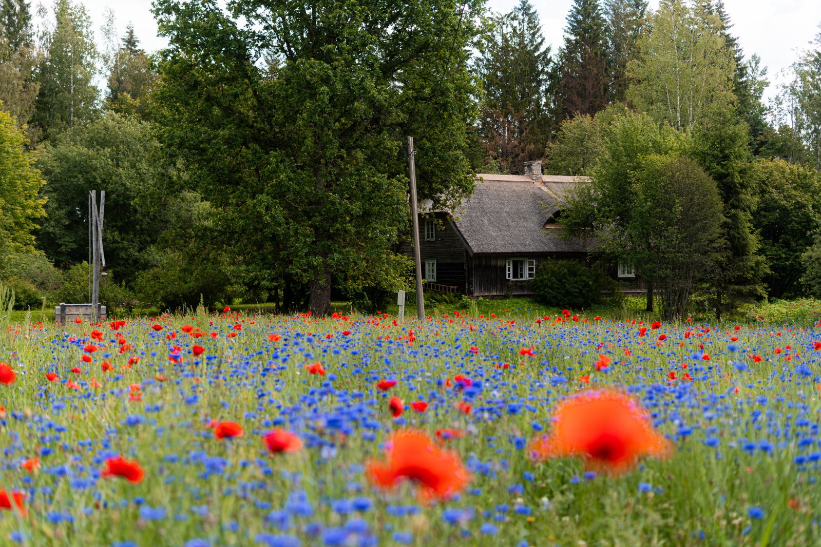 "Vecpiebalga atver durvis 2023" noslēgums - Vecpiebalgas apvienības ...